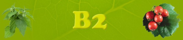 ReCardio for High Blood Pressure - Reviews, Ingrediens and Price